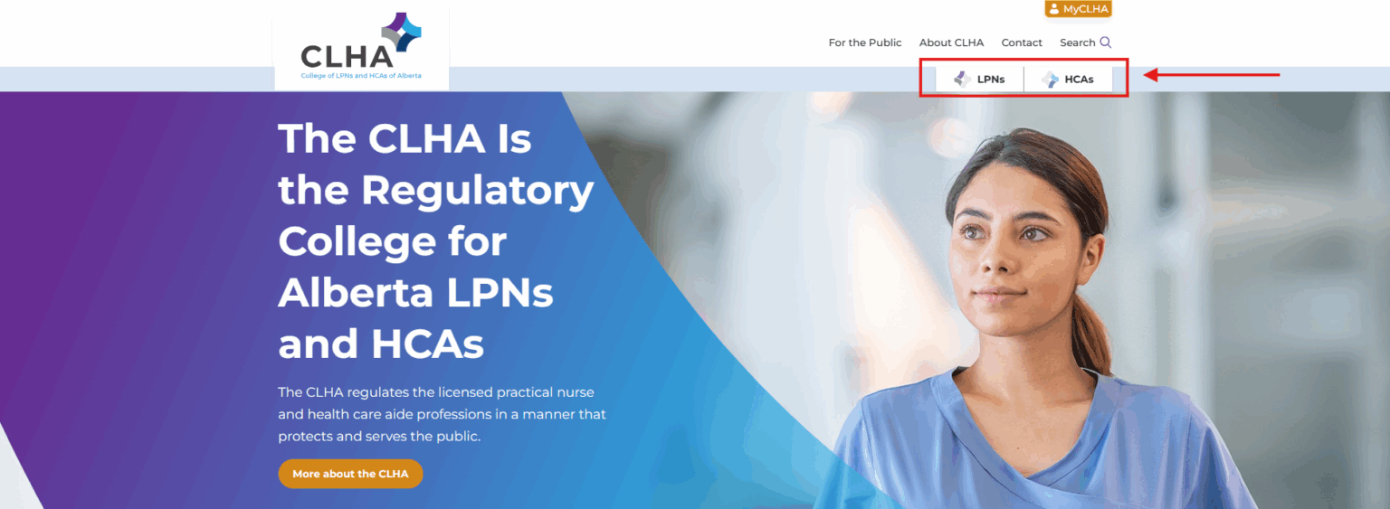 Information On The Clha Website Clha
